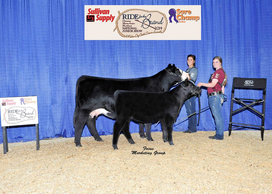 Snake Run Cattle Co. | Champions