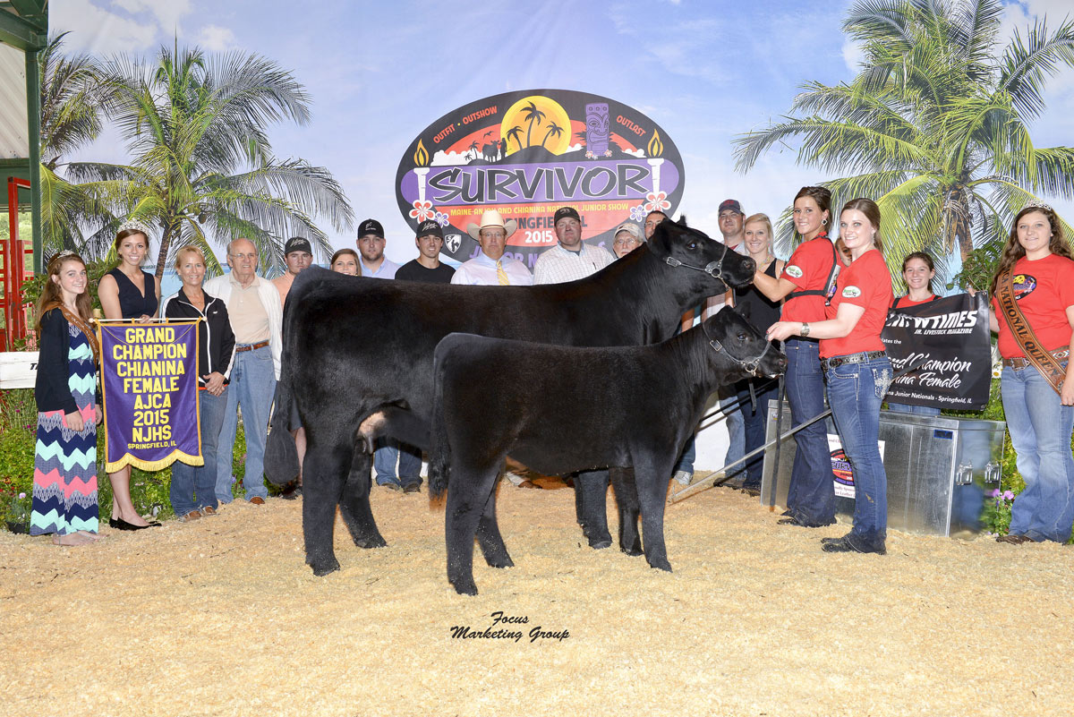 Snake Run Cattle Co. | Champions