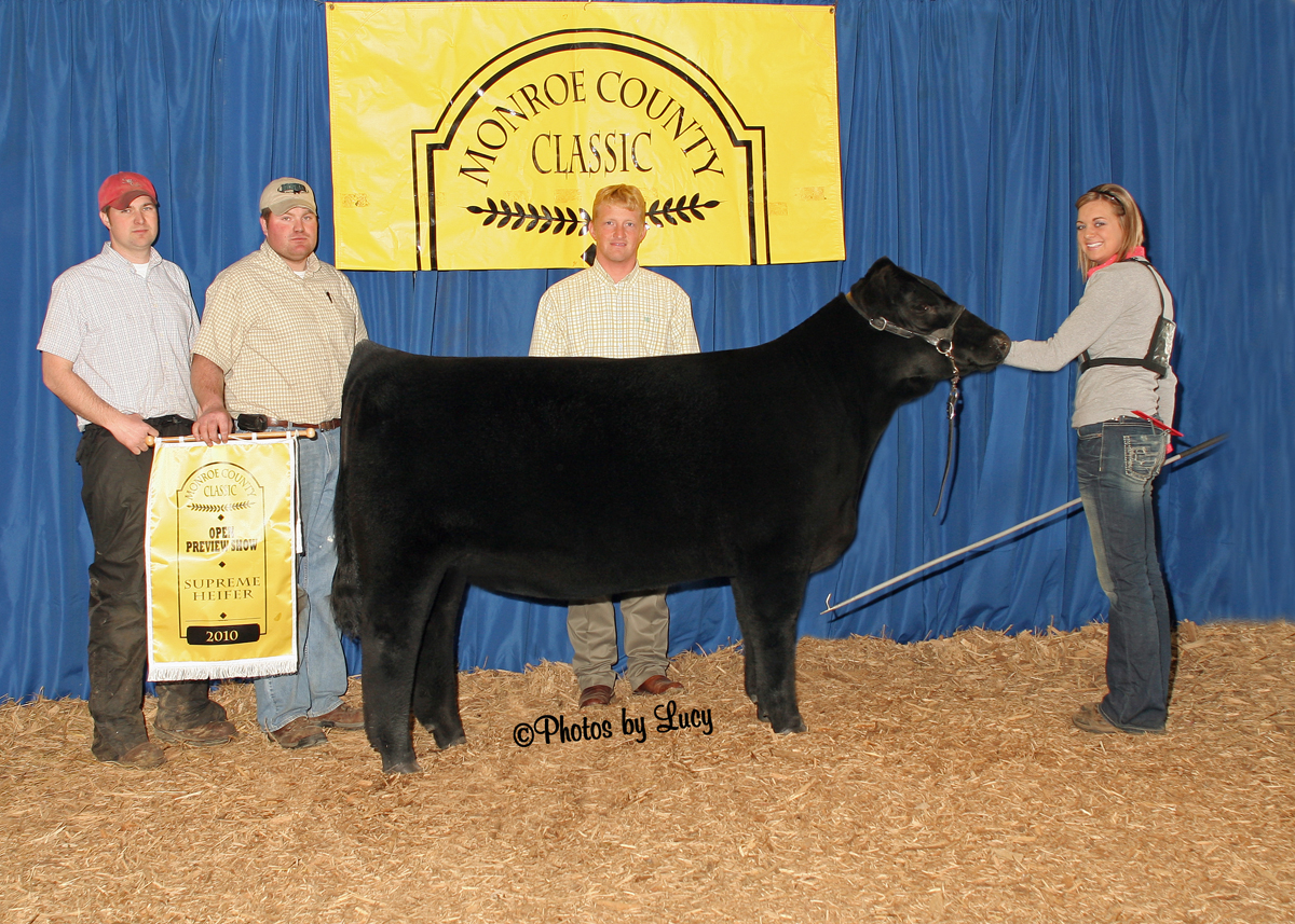 Snake Run Cattle Co. | Champions